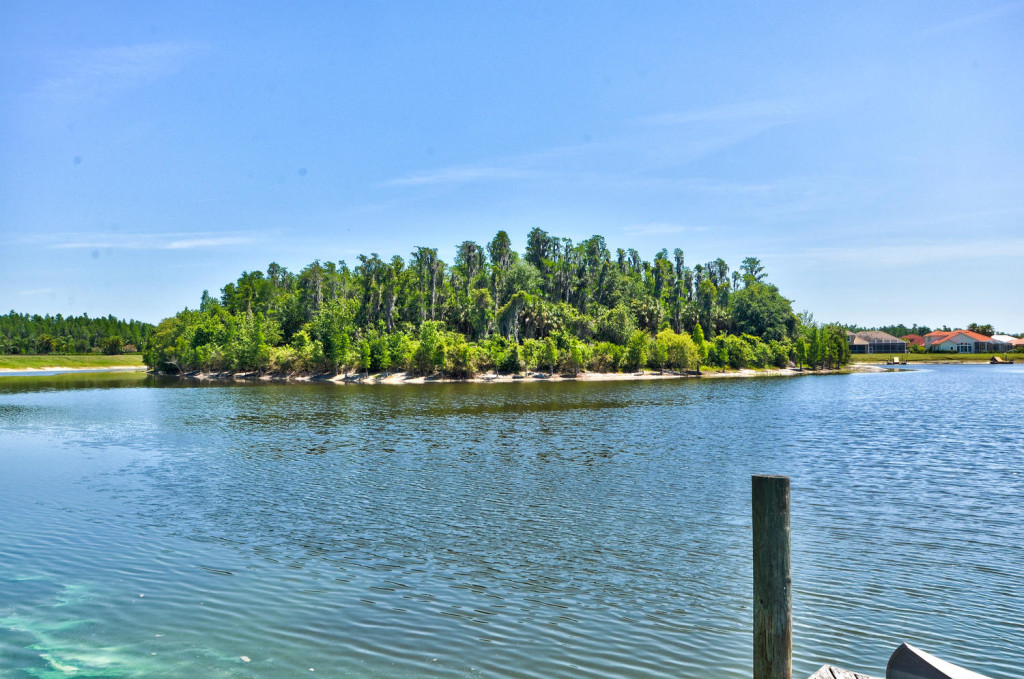 10717 CORY LAKE DR TAMPA FL-large-034-View-1500x994-72dpi - Liane ...